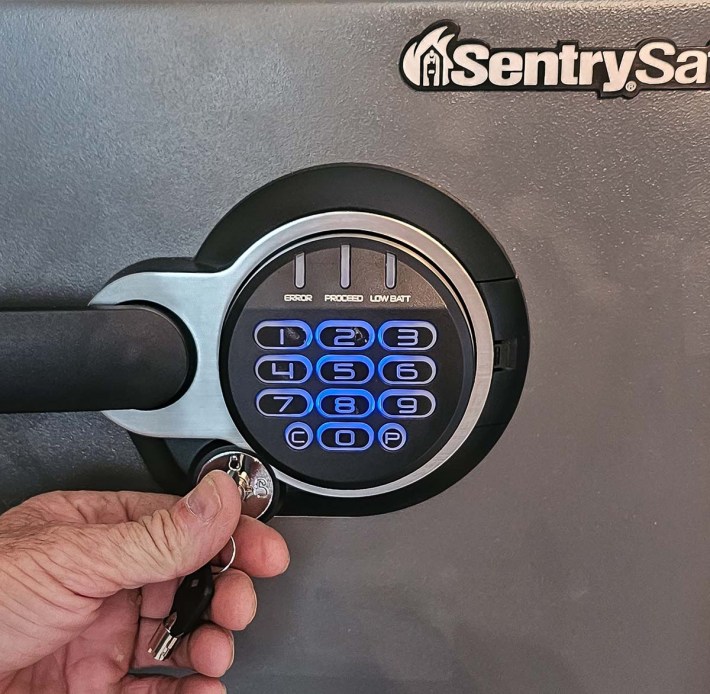 Review: Can this SentrySafe Withstand a Bonfire? - Bob Vila