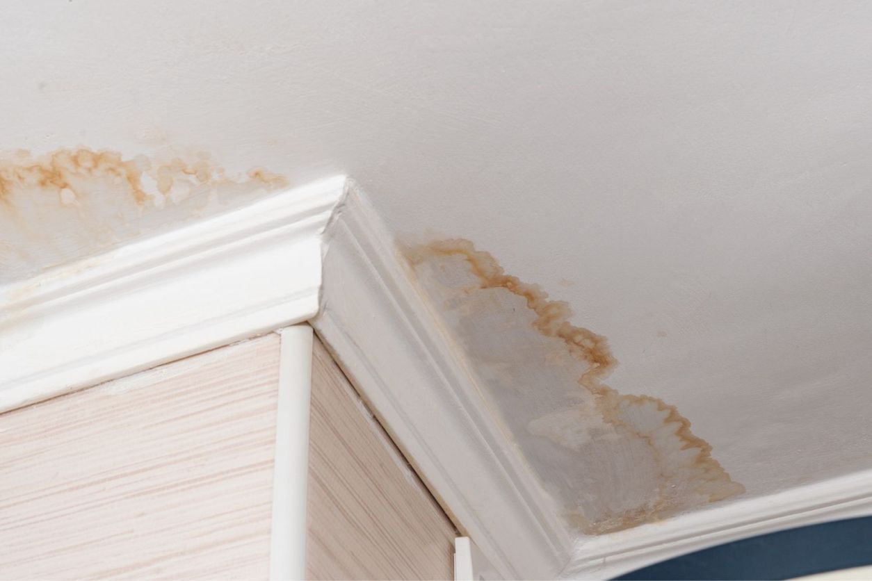5 Ways to Identify Water Damage vs. Mold (and What to Do Next) - Bob Vila