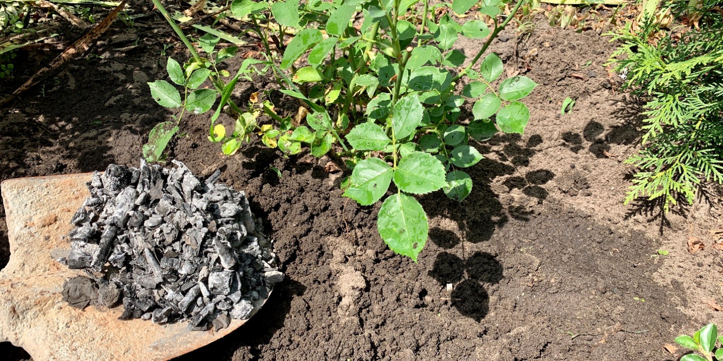 How to Use Wood Ash in the Garden - Bob Vila