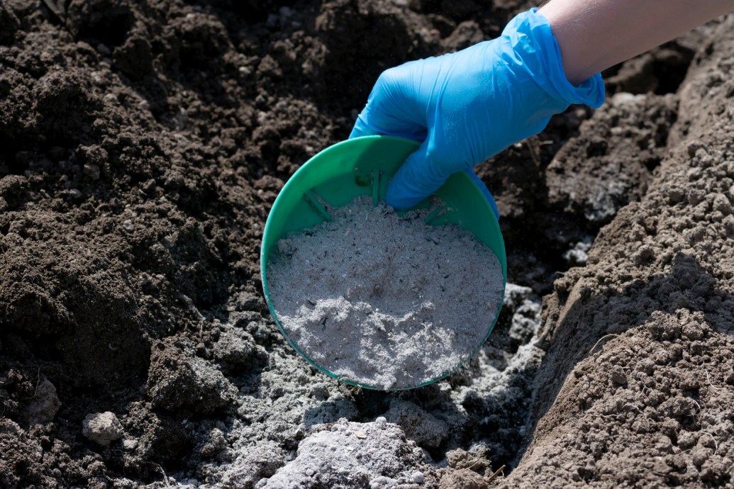 How to Use Wood Ash in the Garden - Bob Vila