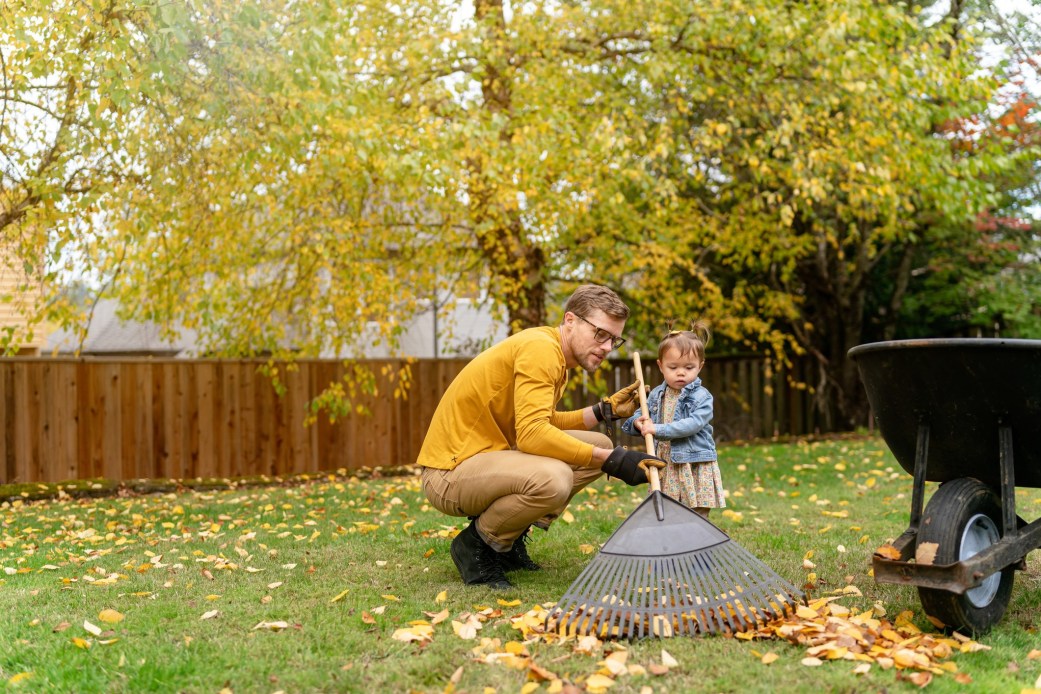 17 Types of Rakes You Should Know + 3 You Should Really Buy