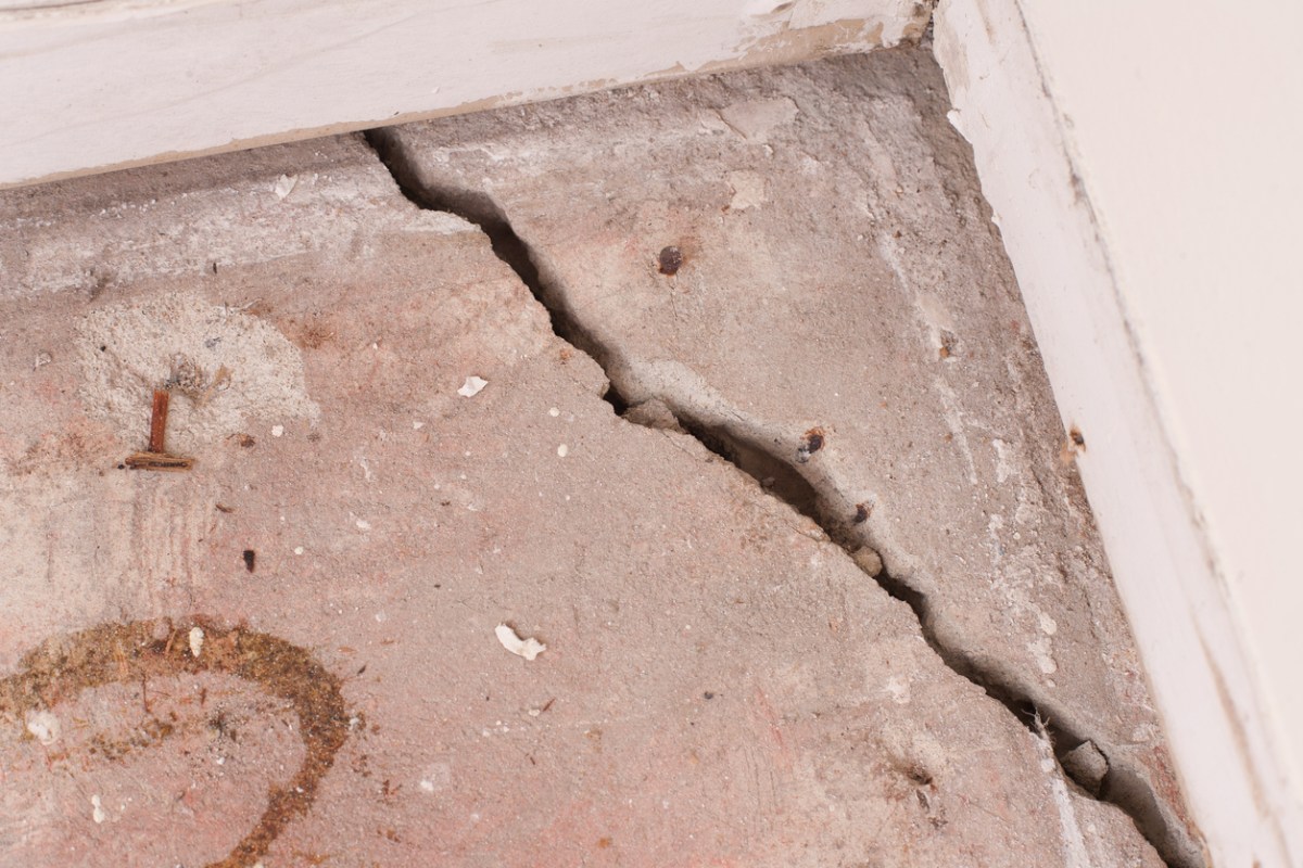 Should You Water Your Foundation? - Bob Vila