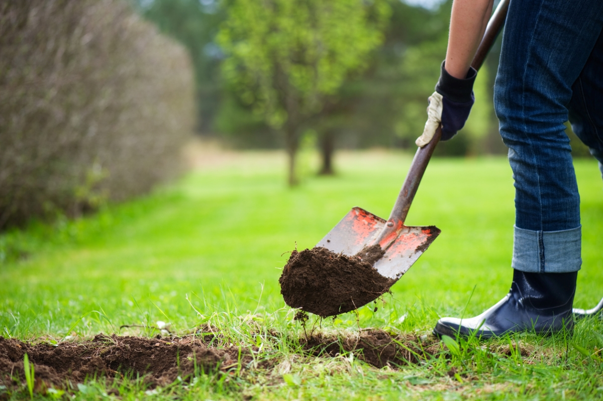 Top-Dressing Lawns: Why It’s Important and How to Do It - Bob Vila
