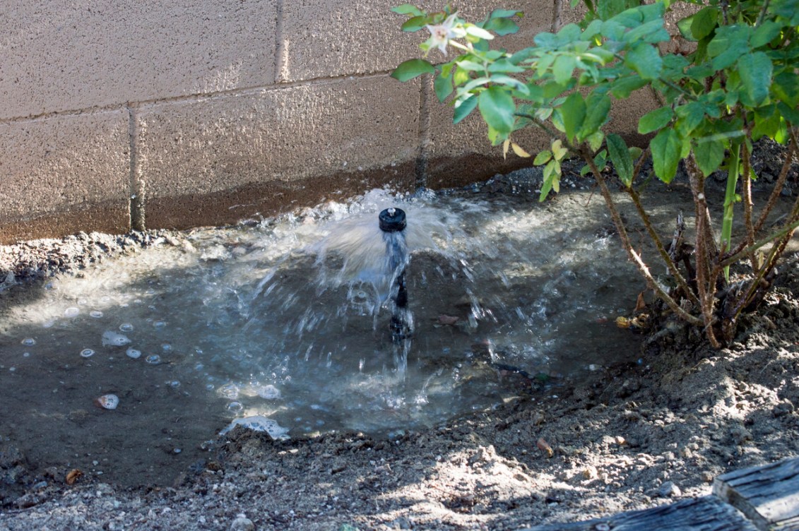 Should You Water Your Foundation? - Bob Vila