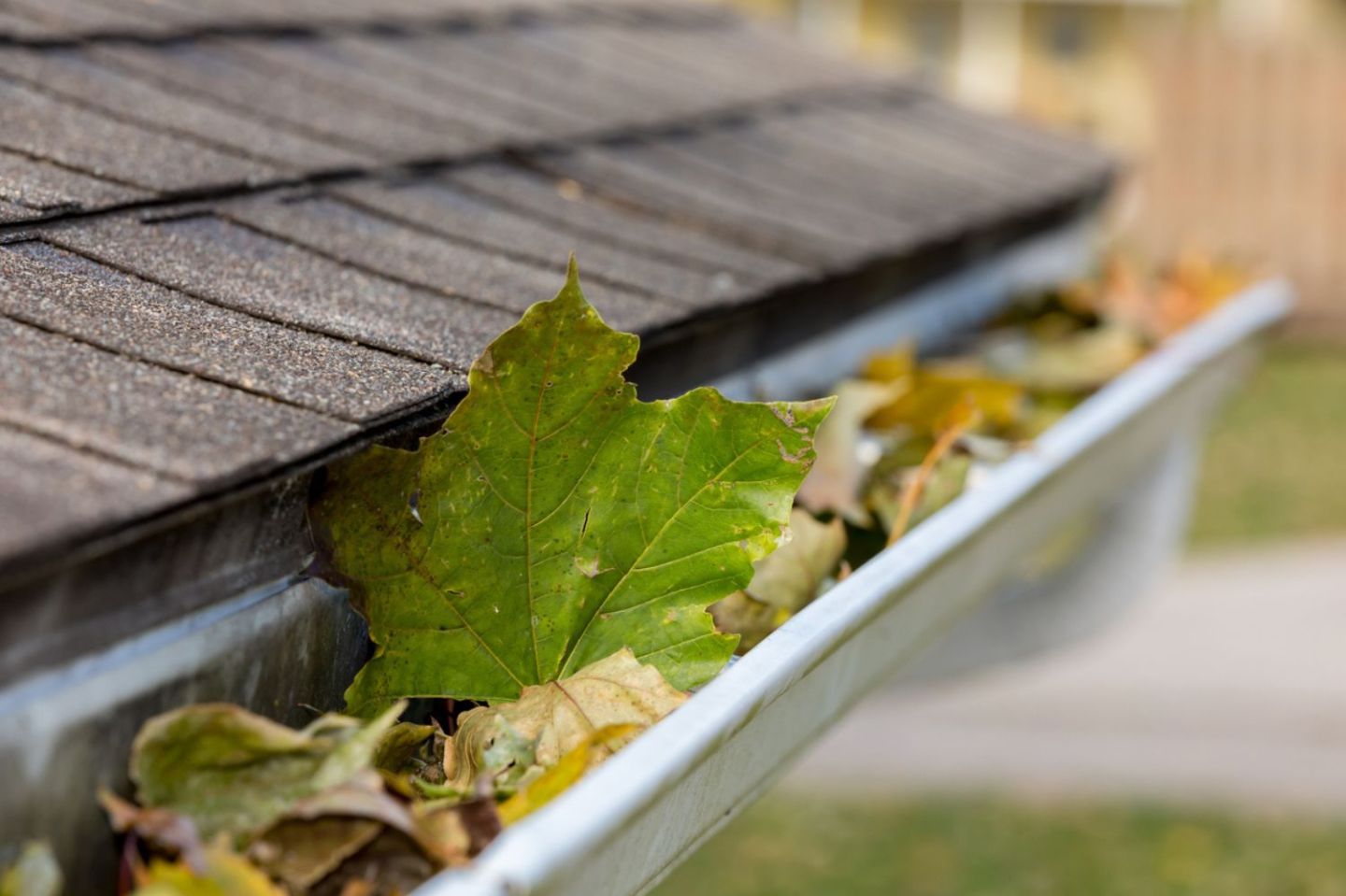 How Much Does LeafFilter Cost? - Bob Vila