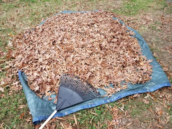 16 Leaf-Raking Lessons No One Ever Taught You - Bob Vila