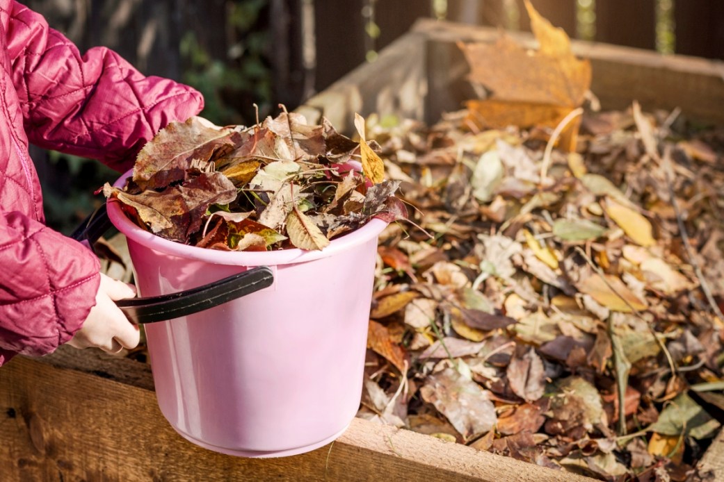 19 Fall Gardening Practices That Will Protect and Enrich Your Soil ...