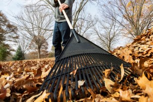 16 Leaf-Raking Lessons No One Ever Taught You - Bob Vila