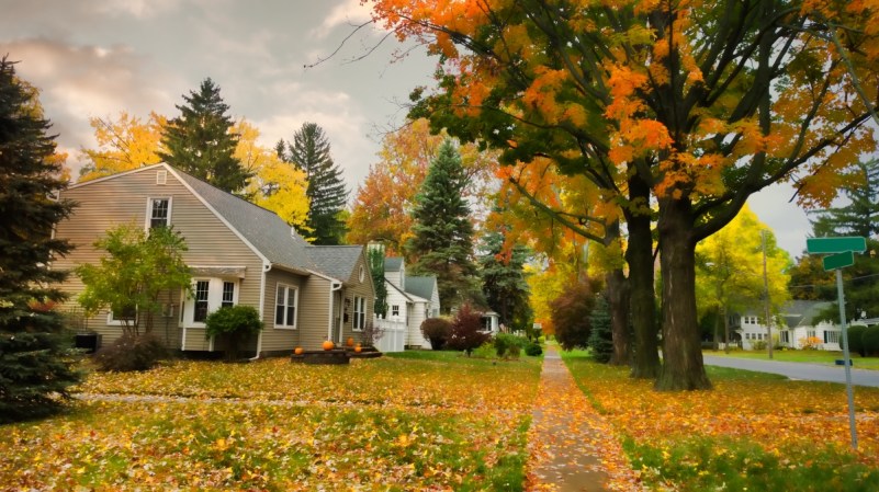 16 Leaf-Raking Lessons No One Ever Taught You - Bob Vila