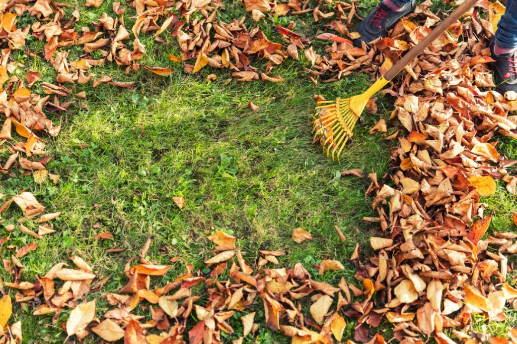 16 Leaf-Raking Lessons No One Ever Taught You - Bob Vila