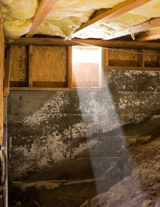 The Signs, Causes, and Solutions for Mold on Insulation