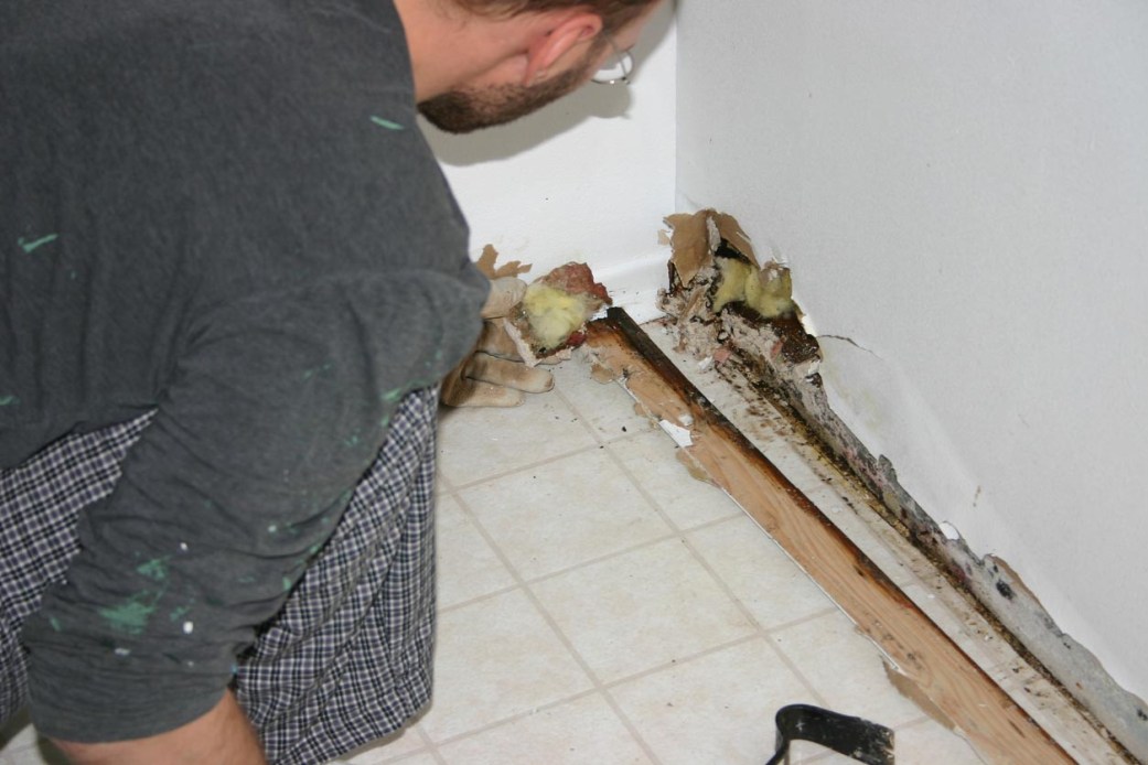 The Signs, Causes, and Solutions for Mold on Insulation