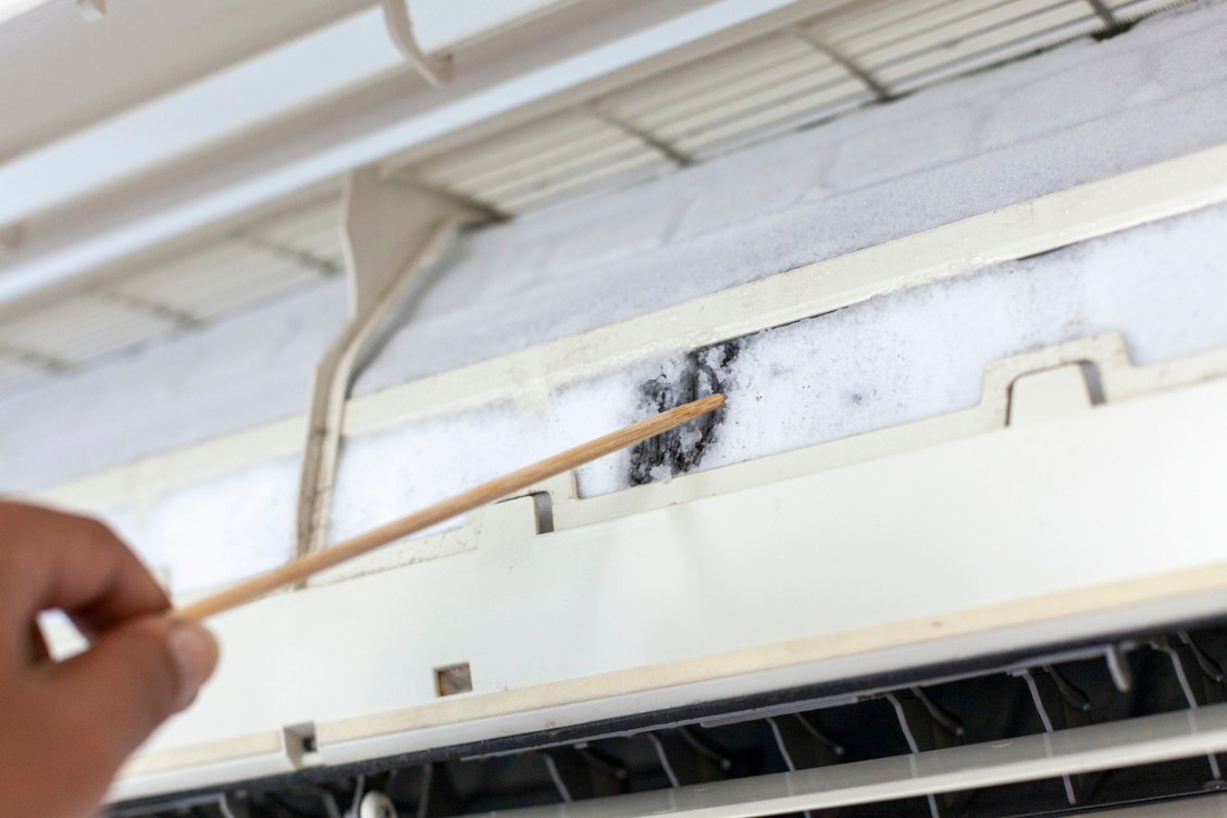 All the Signs of Black Mold in Air Vents and What to Do About It