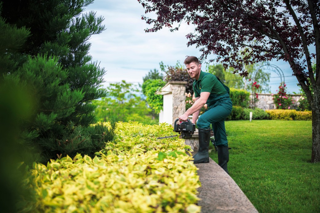 What Does a Handyman Do? 8 Types of Tasks That Can Be Tackled by a Handyman