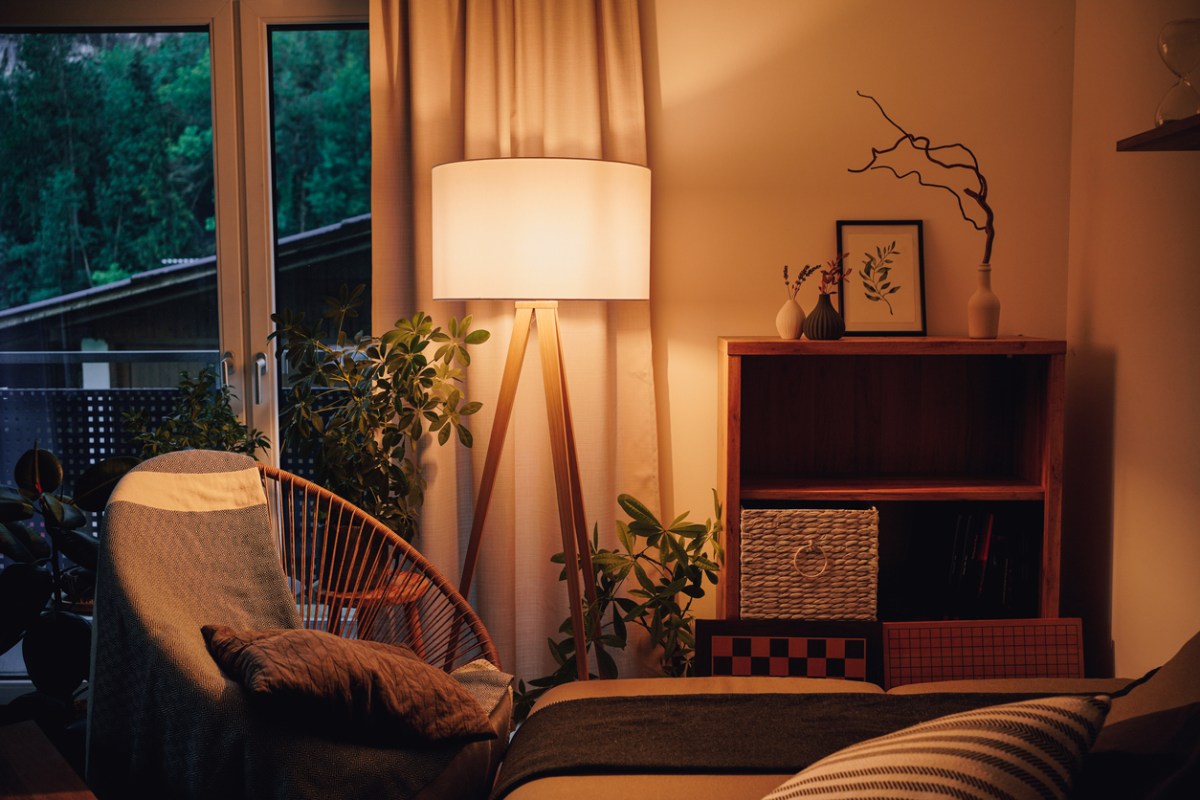 Soft White vs. Daylight Bulbs: What’s the Difference?