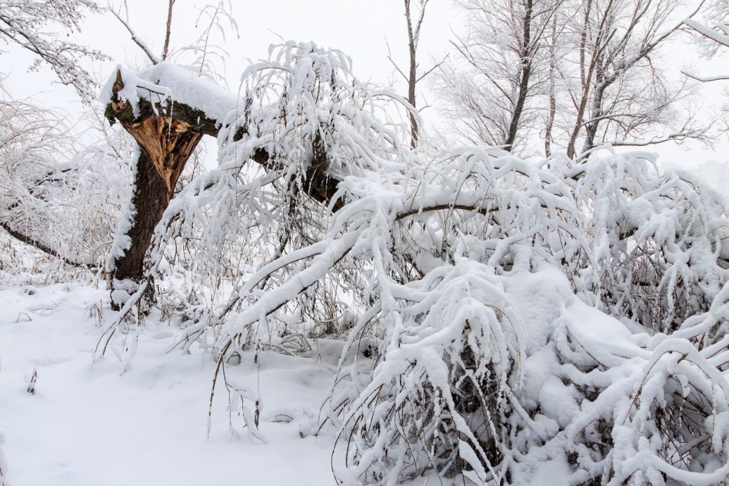 The 30 Smartest Things You Can Do to Prepare for a Frigid Winter