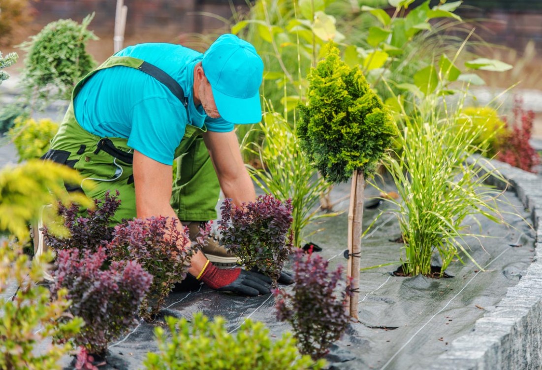 The Average Landscaper Salary, State-by-State