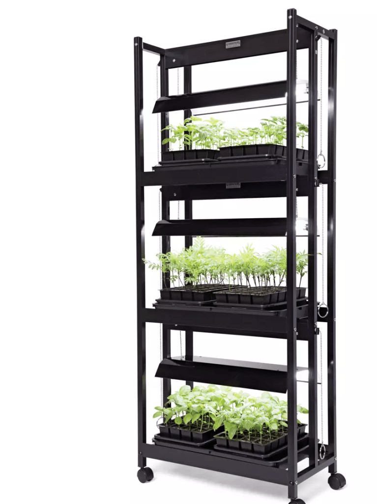 Starting Seedlings? The 5 Best Spots in Your Home for Successful Starts