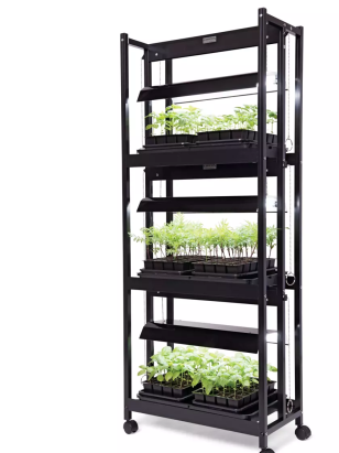 Starting Seedlings? The 5 Best Spots in Your Home for Successful Starts