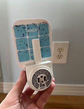 Every Plant Parent Needs This: A Safer Home Indoor Fly Trap Review