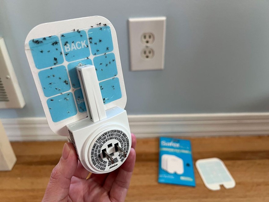 Every Plant Parent Needs This: A Safer Home Indoor Fly Trap Review