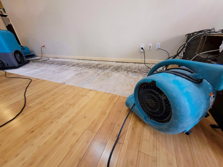 All the Signs of Water Damage Under the Floor—And Why You Need to ...
