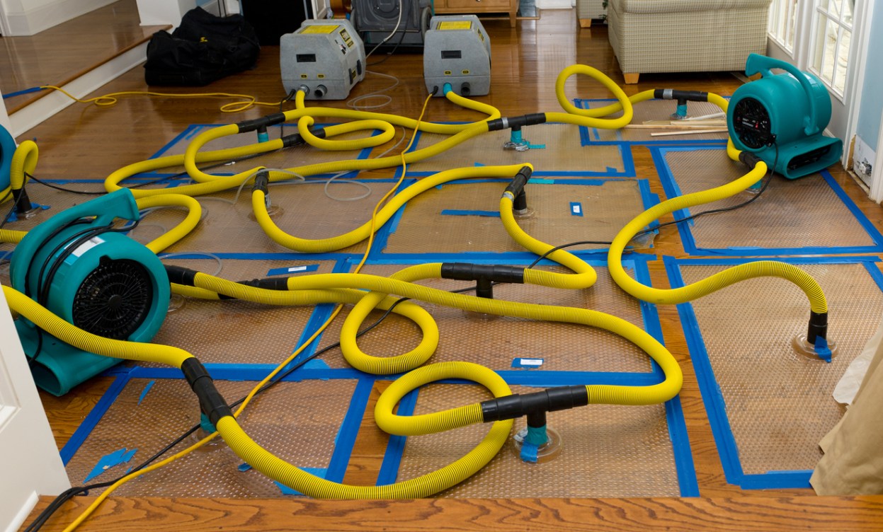 All the Signs of Water Damage Under the Floor—And Why You Need to ...
