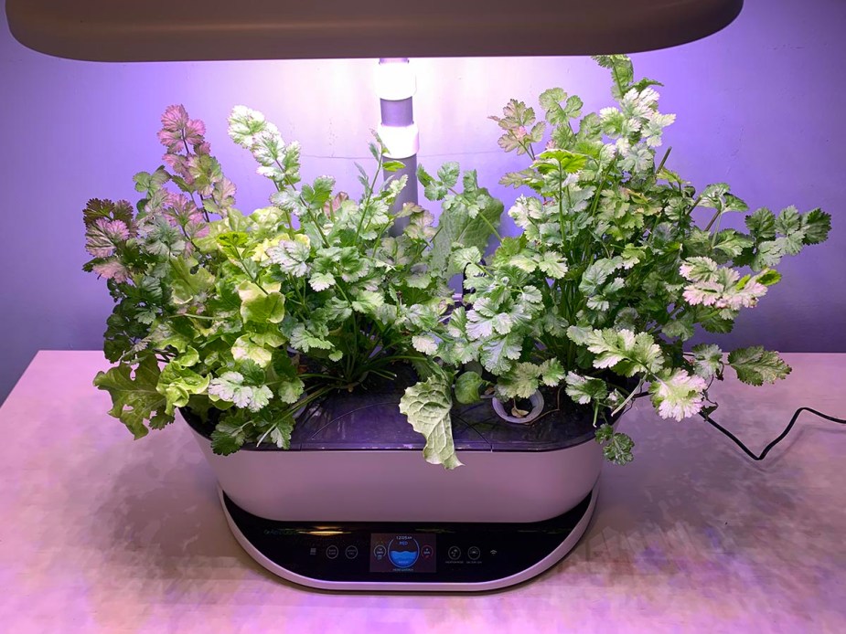 The Best Hydroponic Systems - Tested by Bob Vila