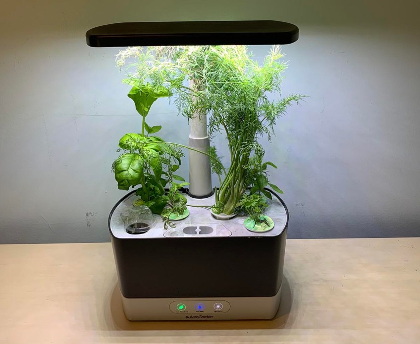 The Best Hydroponic Systems - Tested by Bob Vila