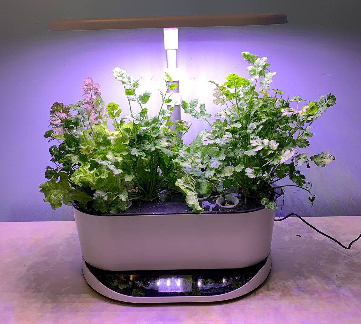 Hydroponic Gardeners, Rejoice: AeroGarden Is Back - Bob Vila