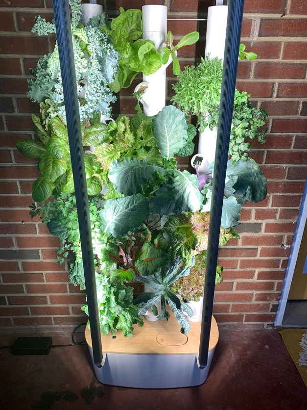 The Best Hydroponic Systems - Tested by Bob Vila