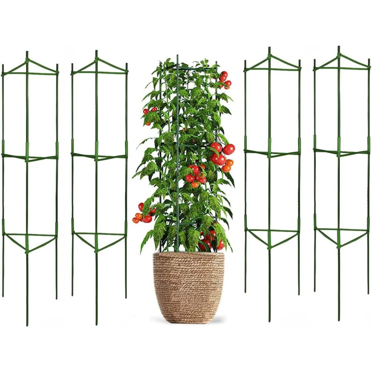 The Best Tomato Cages (2024 Guide)