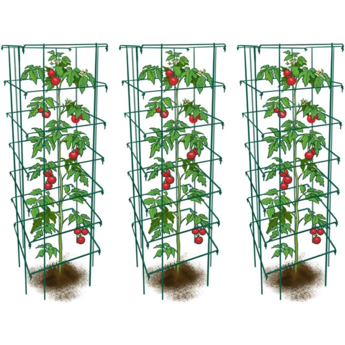 The Best Tomato Cages (2024 Guide)