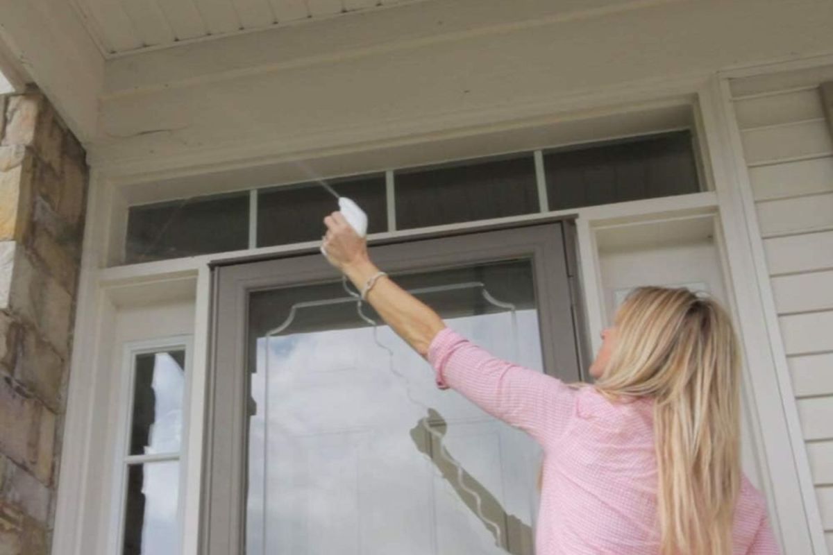The Best Spider Repellents to Keep Creepy Critters at Bay