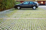 7 Driveway Drainage Solutions for Your Excess Water Woes
