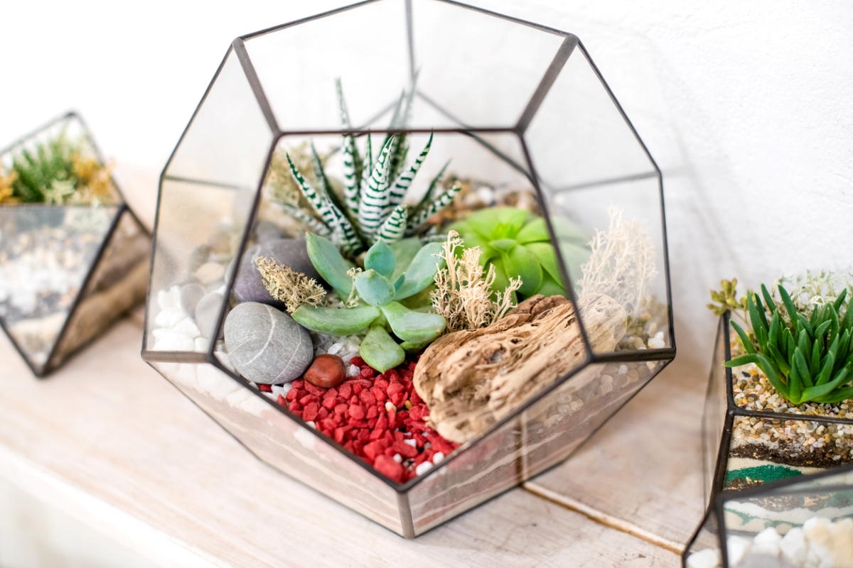 How to Make a Terrarium in 5 Simple Steps