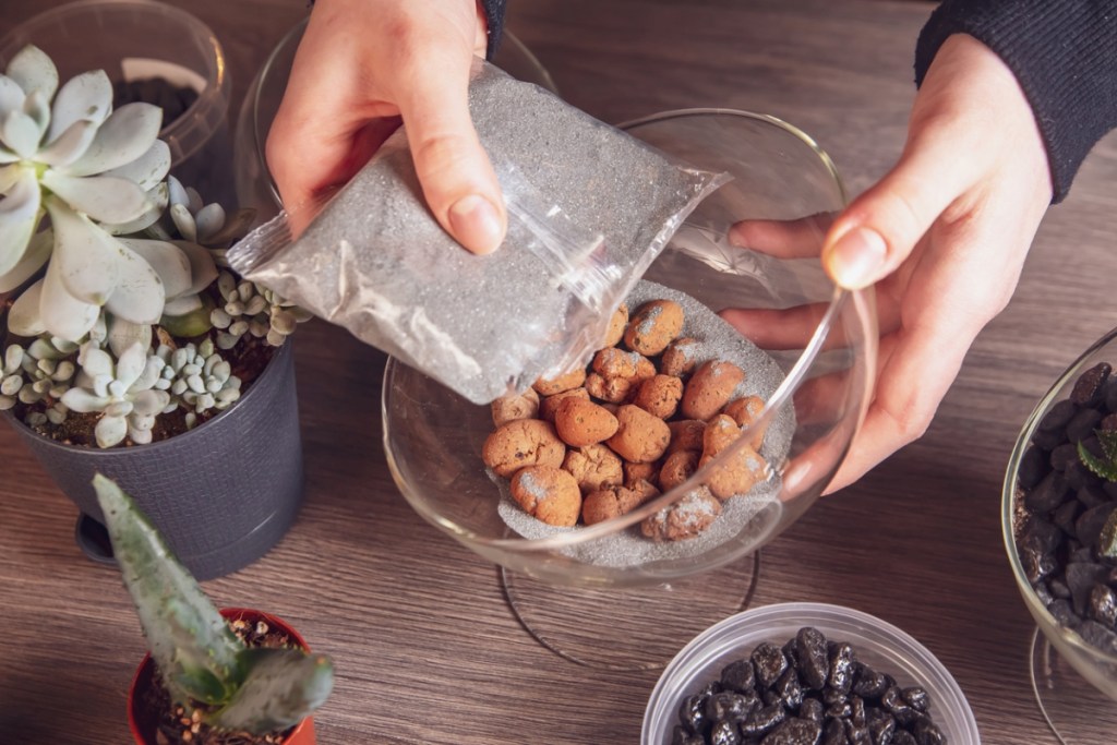 How to Make a Terrarium in 5 Simple Steps