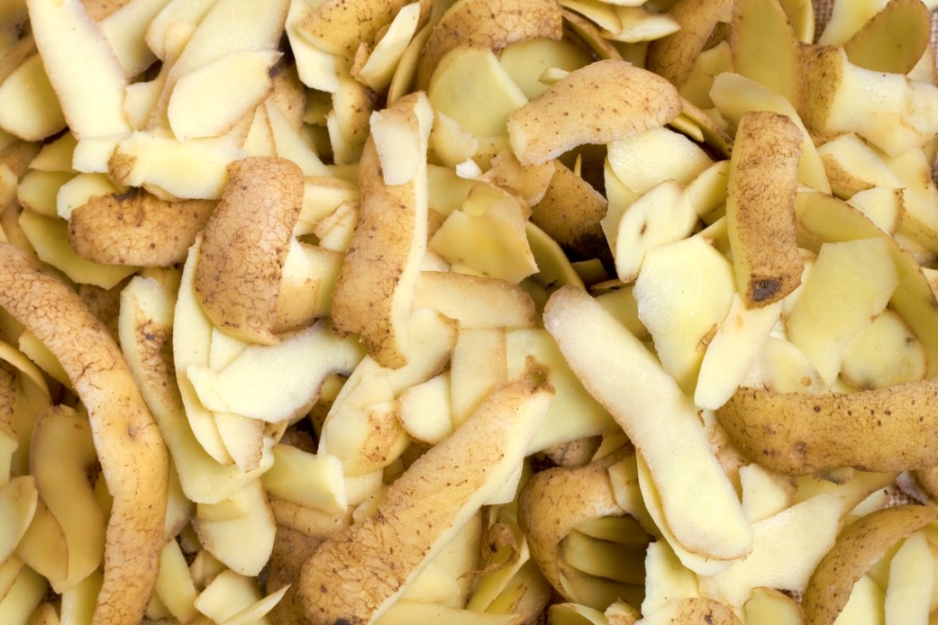 15 Things You Should Never Put Down a Garbage Disposal