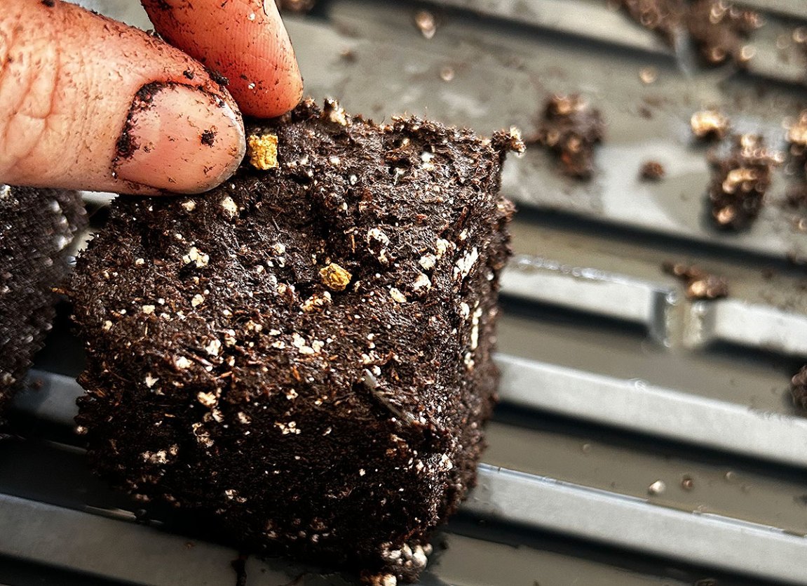What Is Soil Blocking and Is It Worth It for Home Gardeners?
