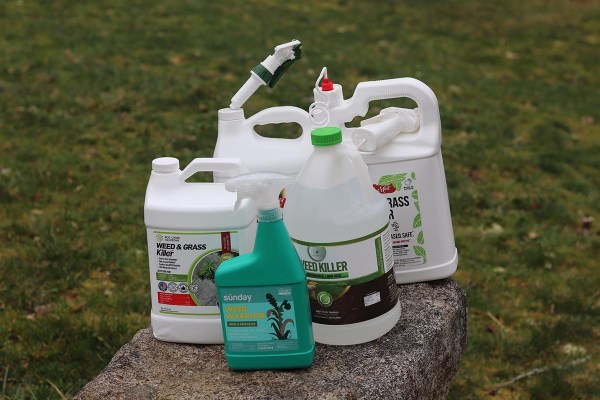 The Best Pet-Safe Weed Killers That Work - Tested by Bob Vila