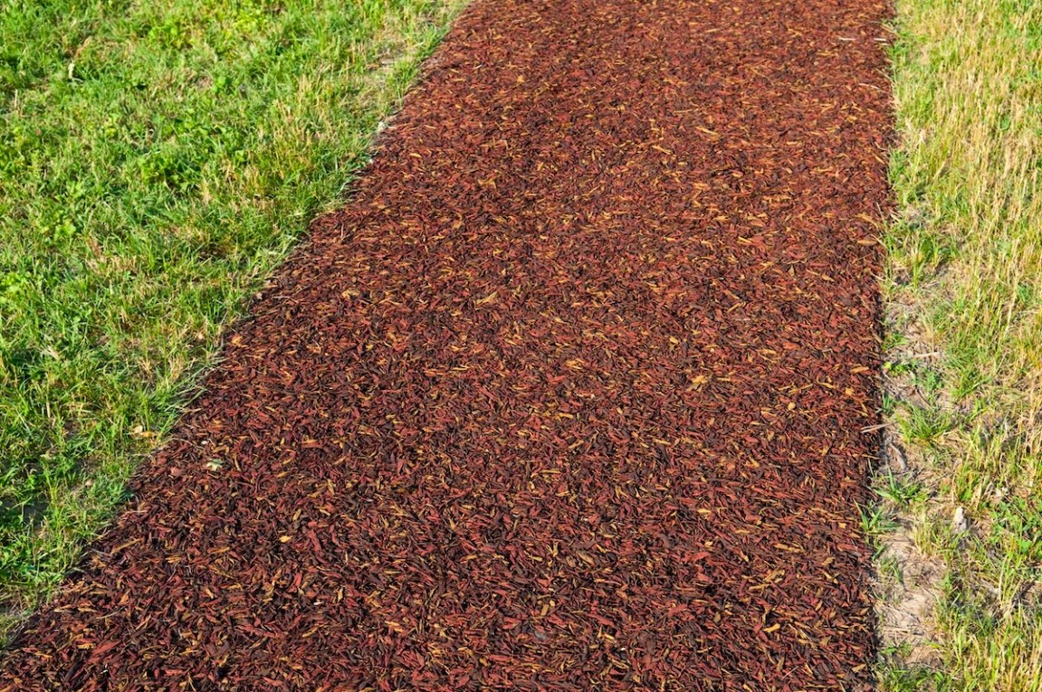 Rubber Mulch vs. Wood Mulch: Which Is Best for Your Landscape?