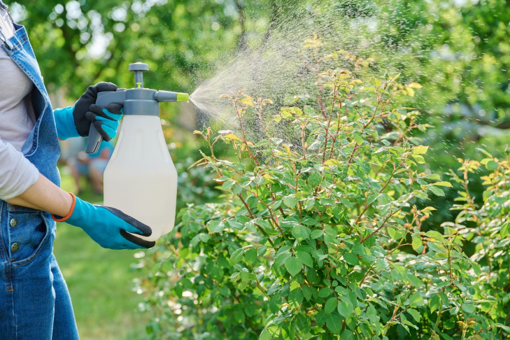 The Best Tick Sprays for Yards (2024 Review)