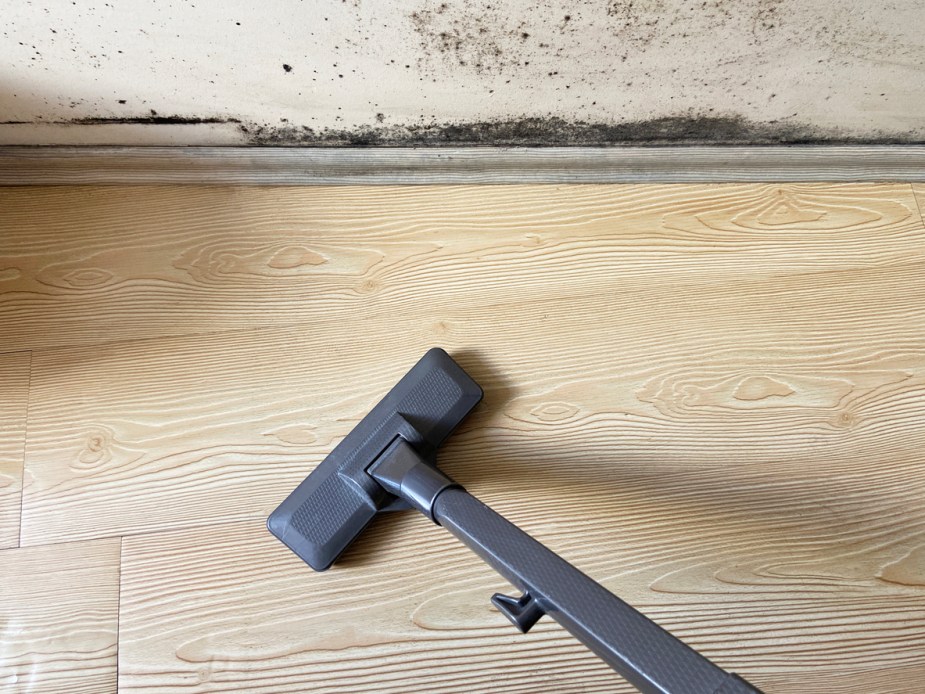 Mold Under Laminate Flooring? Here’s What You Need to Know
