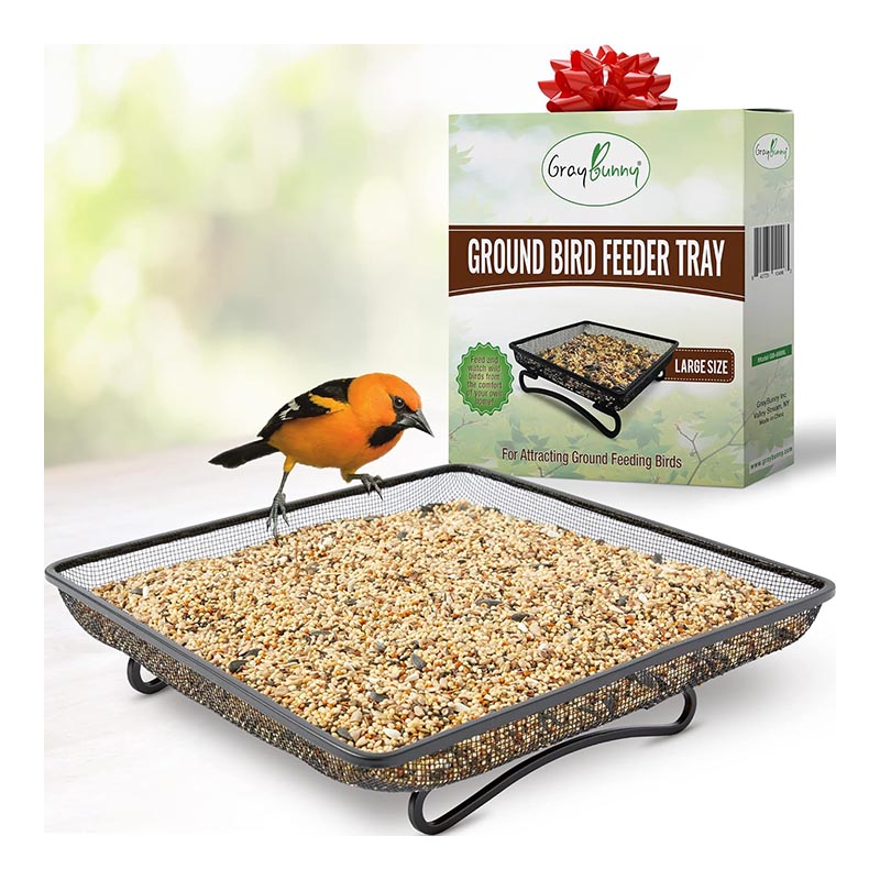 The 10 Best Bird Feeders for Cardinals, Tested