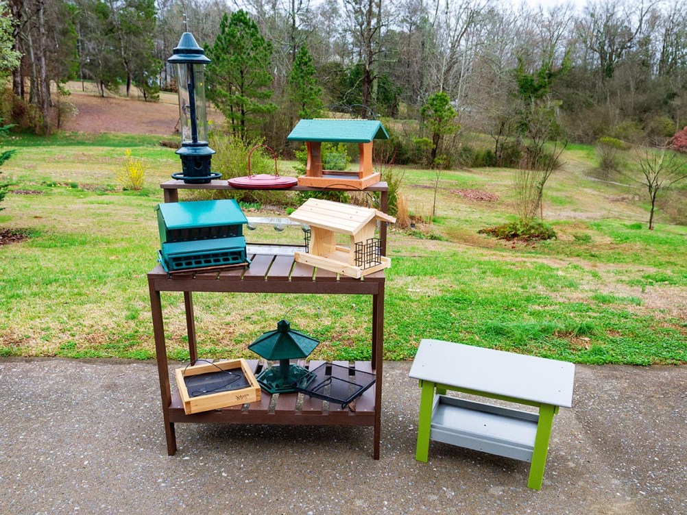 The 10 Best Bird Feeders for Cardinals, Tested
