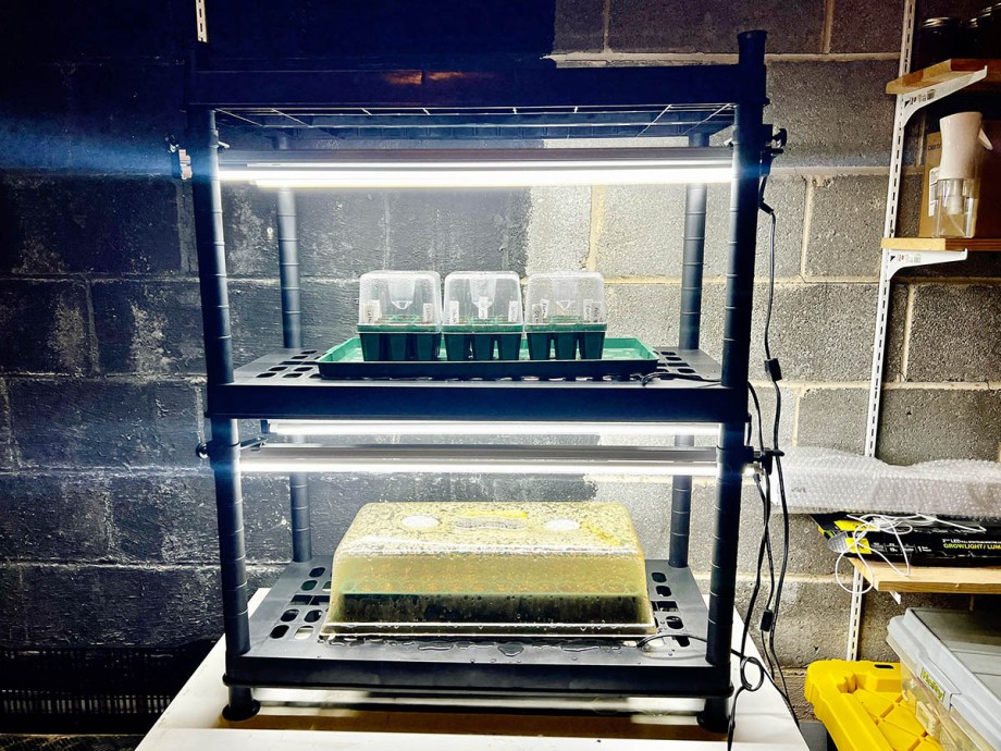 Best LED Grow Lights for Indoor Plants (Tested & Reviewed)