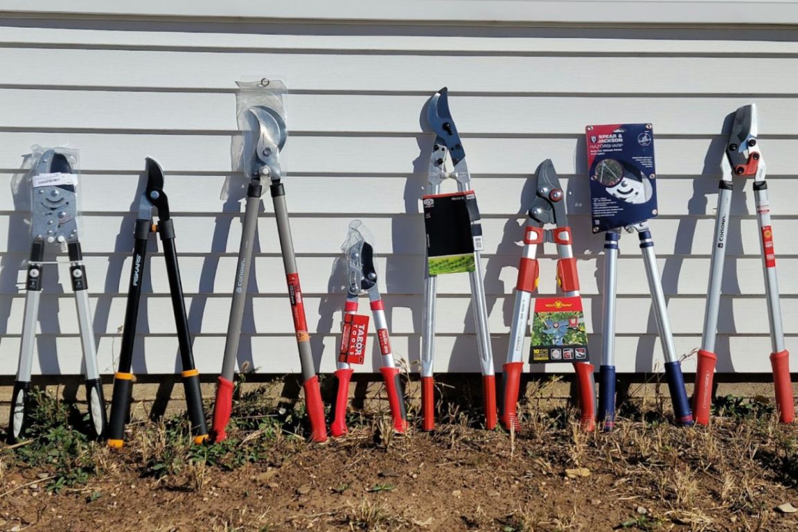 The 10 Best Loppers for Yard Pruning, Tested & Reviewed