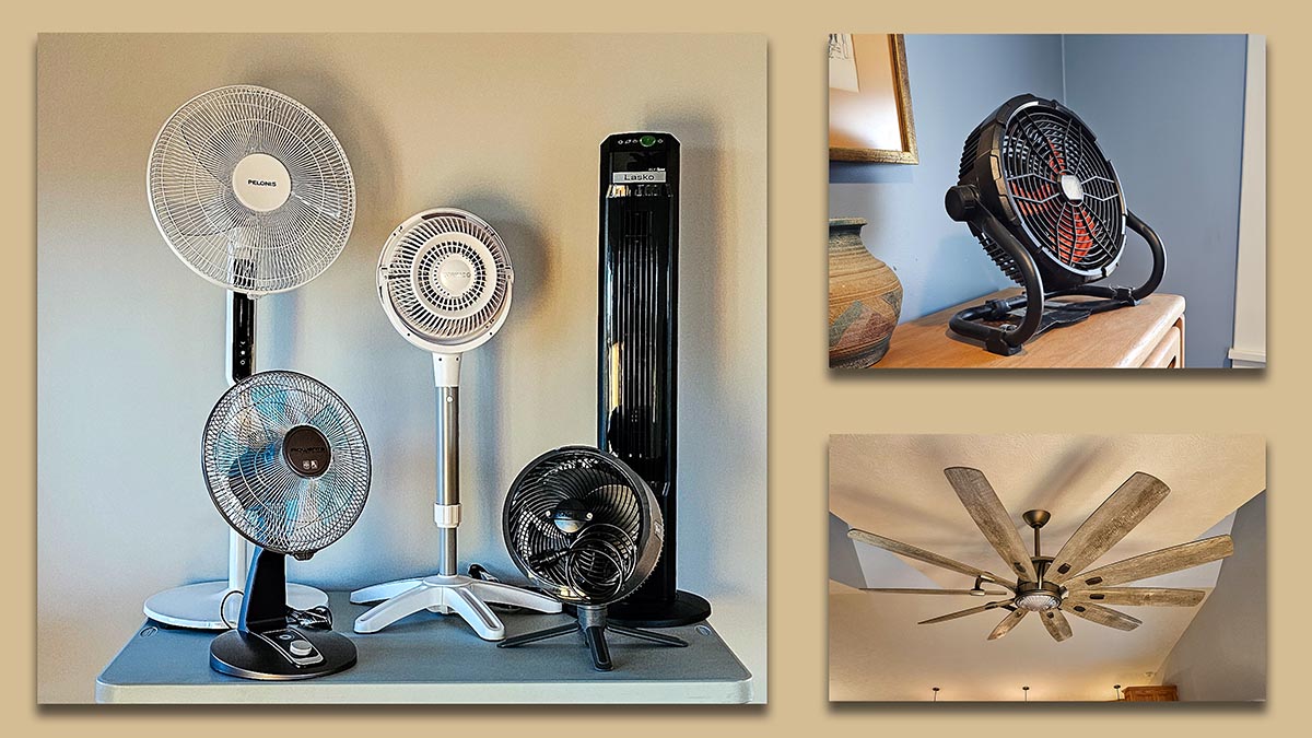 The Best Quiet Fans to Keep You Cool and Comfortable, Tested