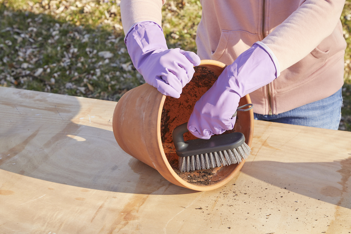 How to Clean Terracotta Pots + Step-by-Step Pictures