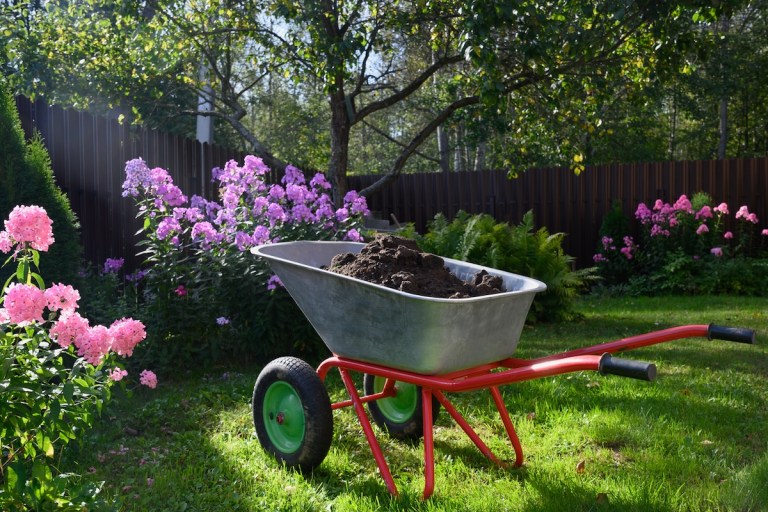 How to Prevent Weeds From Growing in Your Garden—for Good